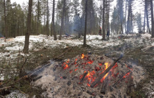 Homepage - First Nations' Emergency Services Society of British ...