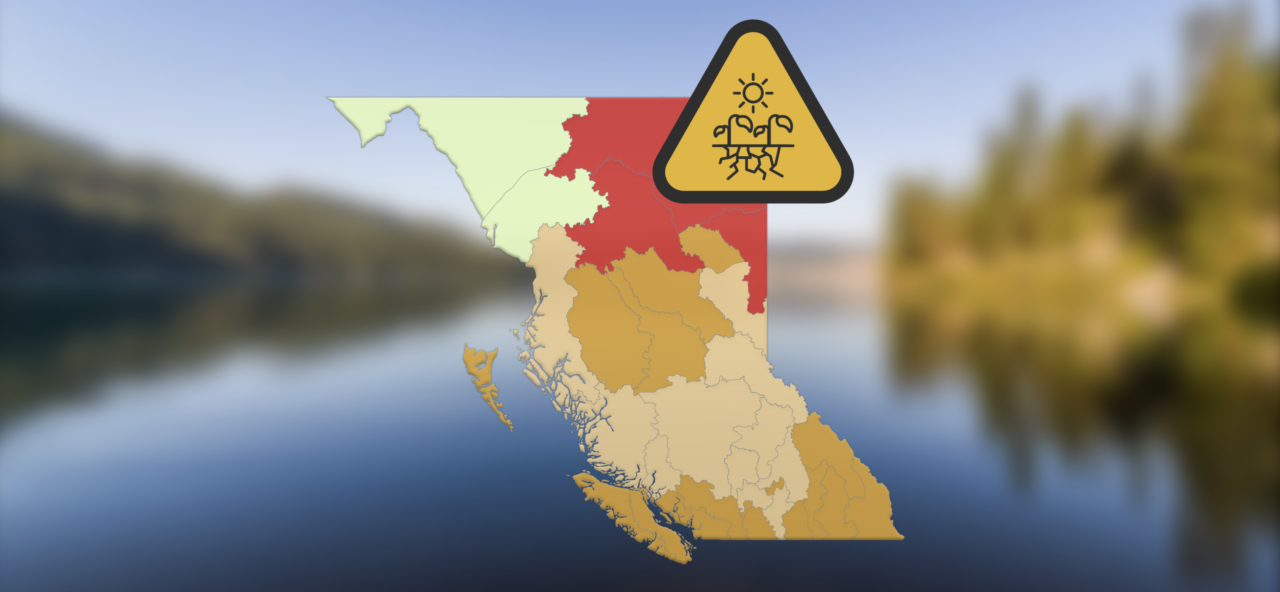 How to conserve water while B.C. is warned of drought conditions - FNESS